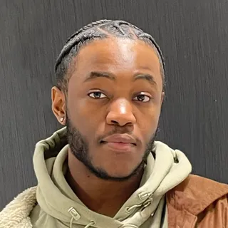 vidalion (Aaron Vidal) · Flux