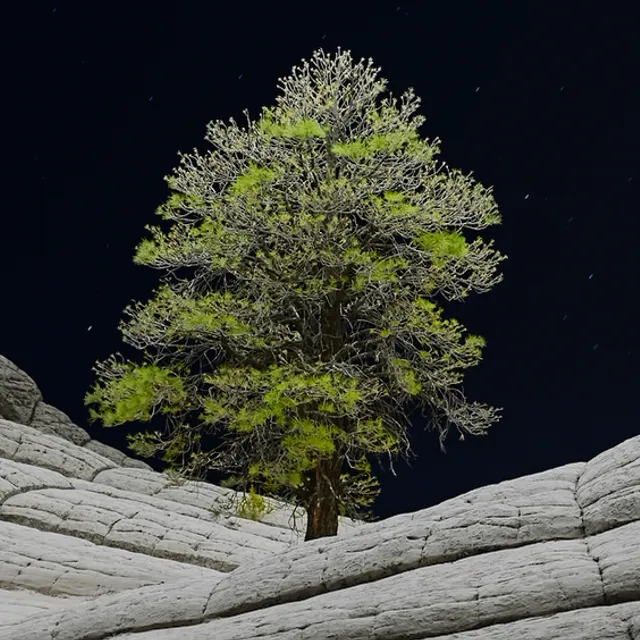 nick-work (Nick Fields) · Flux